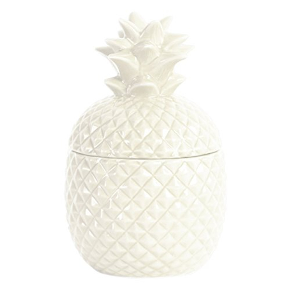 Urban Trends Ceramic 20 oz. Food Storage Canister with Airtight Silicone Ring White