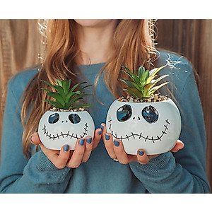 Toynk Disney The Nightmare Before Christmas Jack Skellington 3-Inch Ceramic Mini Planter with Artificial Succulent | Small Flower Pot, Faux Indoor Plants for Desk Shelf, Home Decor Trinket Tray