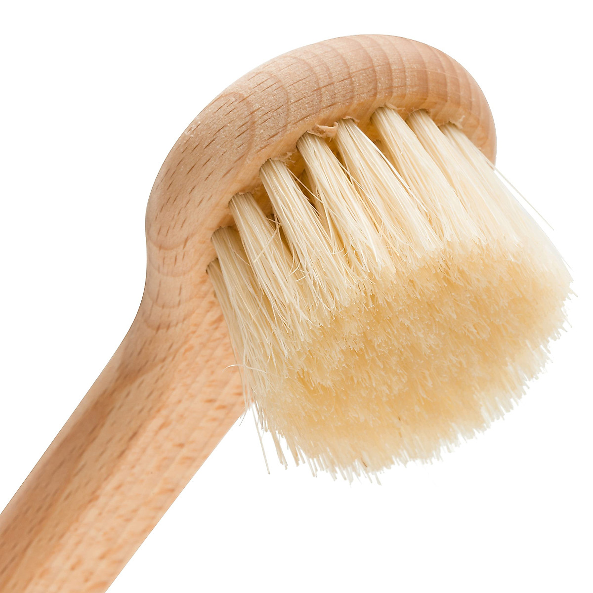 Redecker Mushroom Brush Set, Oiled Beechwood Handles, Natural Pig and Horsehair Bristles, Gently and Thoroughly Clean Mushrooms Without Water, Made in Germany