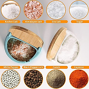 SOYESIN Salt Cellar with Labels, Ceramic Salt Container with Bamboo Lid and Spoon, Salt and Pepper Bowl for Home and Kitchen, Seasoning Box with Scoop for Sugar, Pepper, Spice, 9.43 OZ (273g) -White