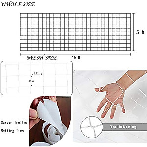 BaseGoal All-Weather Trellis Netting Mesh Plant Garden Vine Growing Flexible String Net (3.5" Mesh ployester, 5' Wx 15'L)