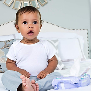 Lansinoh Baby Wipes - 80 ct