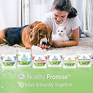 Four Paws Healthy Promise Cat Hairball Control Soft Chews 90 Count