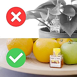 Super Ninja Fruit Fly Traps for Indoors - Highly Effective Ecological Fruit Fly Trap - Environmentally Responsible Fruit Fly Killer - User Friendly - Up to 3 Weeks per Trap (4 Traps)
