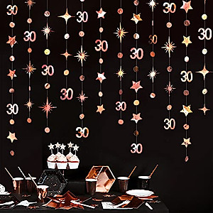Rose Gold 30th Birthday Decorations Number 30 Circle Dot Twinkle Star Garland Metallic Hanging Streamer Bunting Banner Backdrop for Her Dirty 30 Year Old Birthday Thirty Anniversary Party Supplies