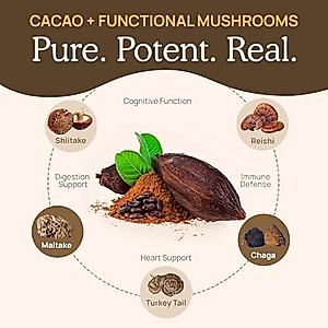 Real Mushrooms Organic Hot Chocolate Mix with 5 Defenders Turkey Tail, Chaga, Maitake, Shiitake, Reishi Mushroom - Cacao Powder Vegan Supplement, Gluten-Free, 15 Servings