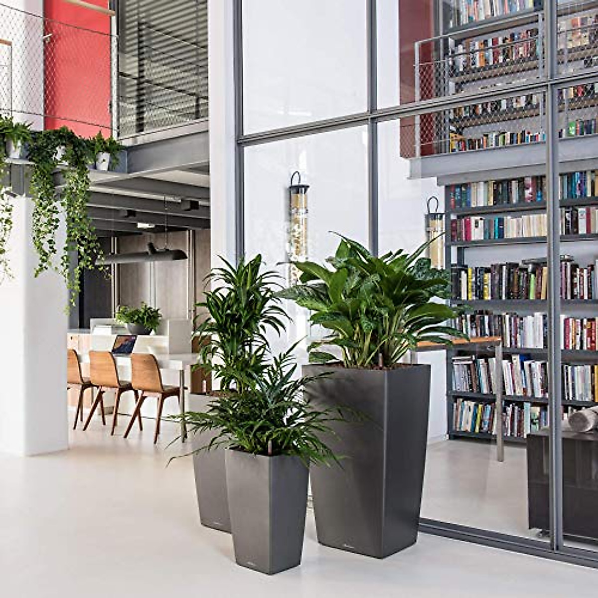 Lechuza Cubico Premium 30 - All-In-One, Scarlet