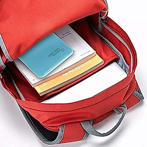 LYFJXX Mask Storage Case,4 Pack Portable Plastic Mask Storage Case, Reusable Mask Organizer to Protect and Store Disposable Masks Blue