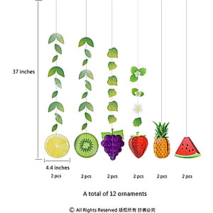 12 Strings Fruit Garlands for Kids Birthday Party Decorations Fruit Birthday Banner for Holiday Luau Tropical Theme Party Supplies Baby Shower Decorations