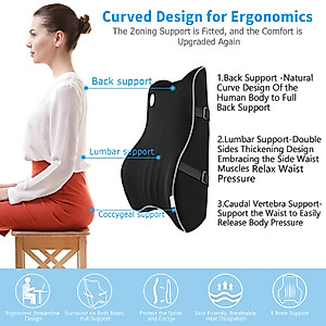 Lumbar Support Pillow,Memory Foam Back Support for Office Chair,Computer Chair,Car Seat,Recliner and Couch with Breathable 3D Mesh Cover,Ergonomic Design Orthopedic Backrest for Back Pain Relief
