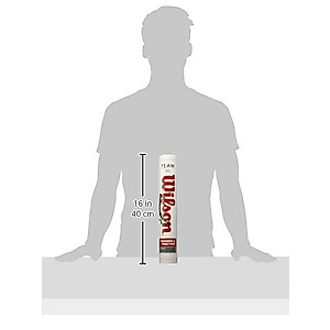 Wilson Team 60 Shuttlecocks - 12 Pack Tube