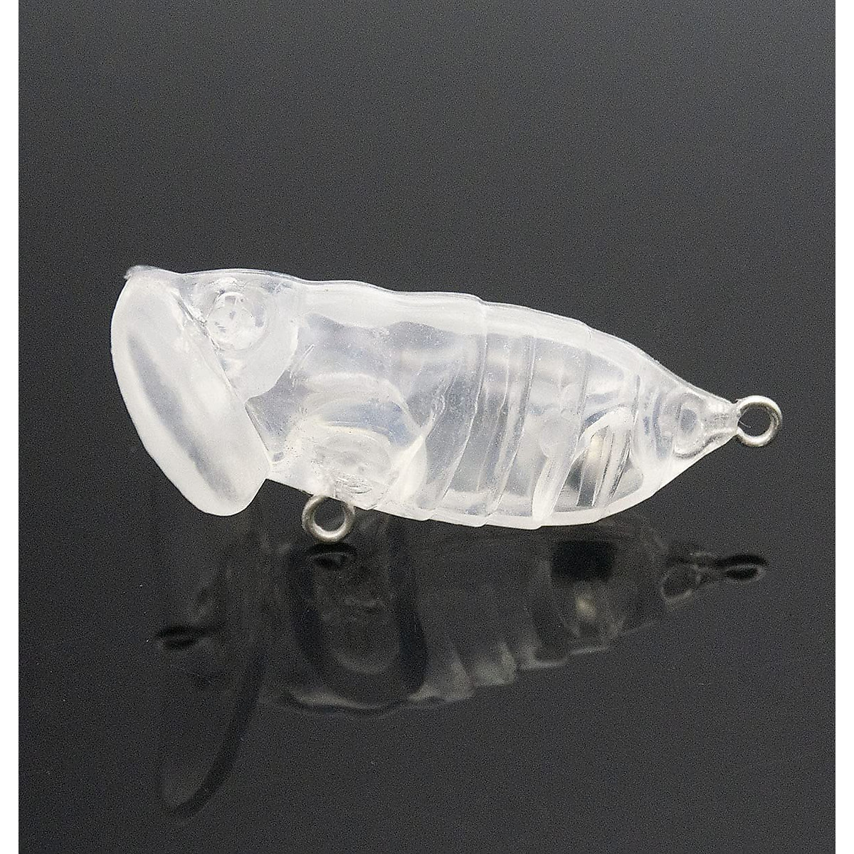 10PCS Unpainted Lure Blanks 2.8g 4.2cm with 3mm Free Fishing Eye Crankbait Simulation Blank Body Clear Hard Baits Trout Salmon Minnow Lure Popper Lures Topwater Freshwater 3mm 8061