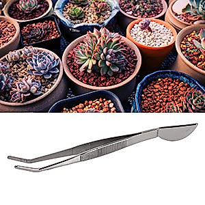 AUHX Bonsai Tweezers Tools, Bonsai Tweezers Wearresistant Stainless Steel Ergonomic Handle for Loosening Soil (Bent)