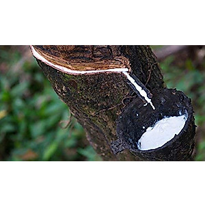 Vytex 100% Natural Latex Super Soft - King 2 Inch Topper Collection The Only Virtually Allergy Free Latex - Super Soft - King 2 Inch Equivilent to 14 ILD