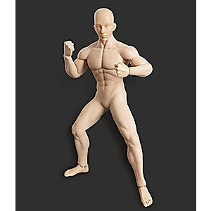 HiPlay TBLeague 1/6 Scale Seamless Male Action Figure Body- 12 Inch Super Flexible Collectible Figure Dolls (M30)