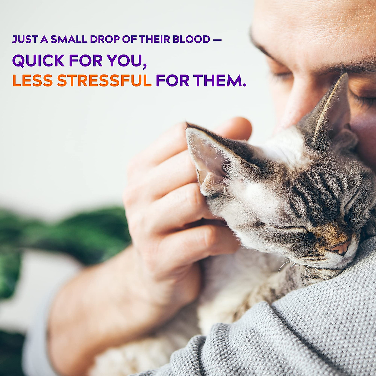 AlphaTrak 3, 8 Piece Pet Blood Glucose Monitoring Kit for Diabetic Cats, Dogs, and Horses All-in-One Solution for in-Clinic Or at Home, with Digital Results