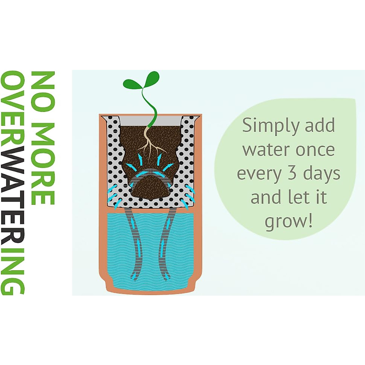 Bonsai Tree and Aloe Vera Plant Starter Kit, Sow and Grow Bonsai and Healing Aloe, Aloe Vera and Bonsai Tree Seeds with Indoor Self-Watering Terracotta Planter Pots, Plant Lover Gift & DIY Adult Craft