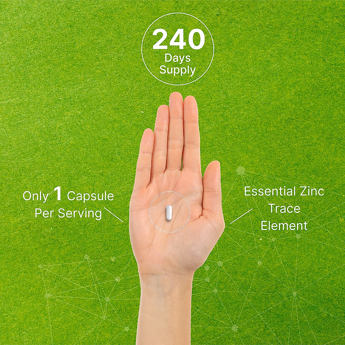 Zinc 50mg with Selenium 200mcg + Copper, 240 Capsules, 8 Month Supply, 3 in 1 Mineral Formula, Zinc Picolinate Complex Supplement, Supports Healthy Immune System for Adults and Kid