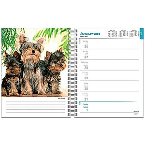 Yorkshire Terriers | 2023 6 x 7.75 Inch Spiral-Bound Wire-O Weekly Engagement Planner Calendar | New Full-Color Image Every Week | BrownTrout | Yorkies Dog Breeds DogDays
