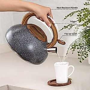 Tiilan Whistling Tea Kettle, Tea Pot for Stovetop - Stainless Steel, Wood Grain Handle, with Spout - 2.7 Quart/3 Liter, Gray