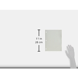 School Smart-86667 Double Sided Grid Paper, 3 Hole Punched, 8-1/2 x 11 Inches, 1/4 Inch Rule, White, Pack of 500