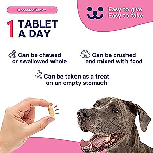 SilymarinAdvanced Liver Health Supplement for Large Dogs Combining S-Adenosylmethionine (Same) and Silybin, Liver Tablets, Cognitive Support, Pet Essentials & Wellbeing, 30 Tablets