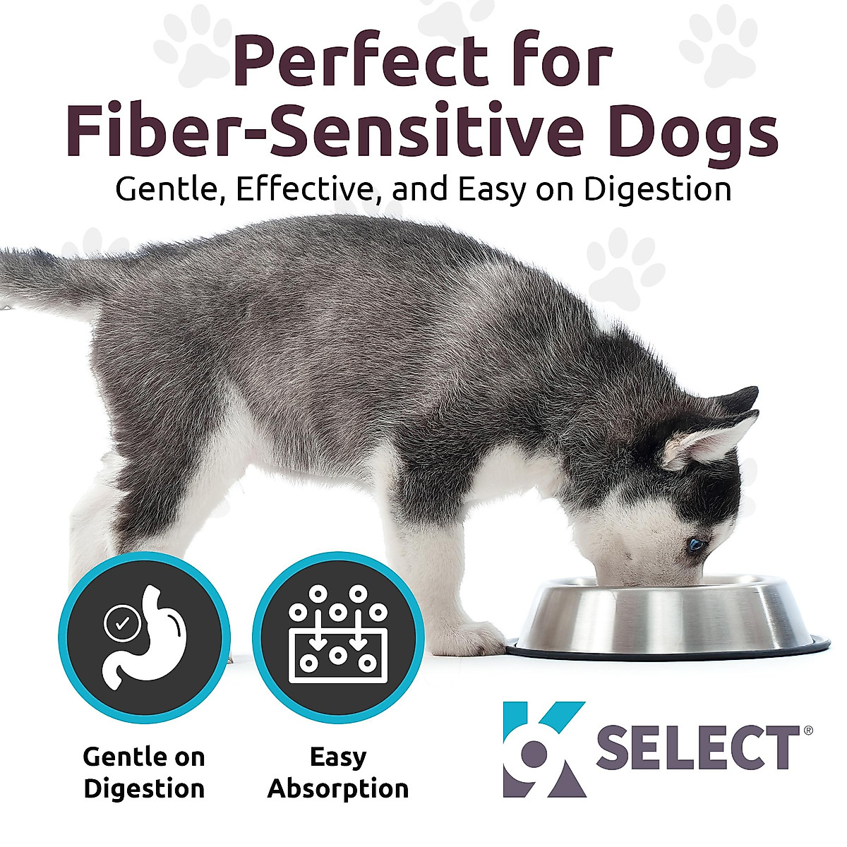 K9 Select HMR Lignans for Dogs - Enhancer for Overall Wellness, Immune Support for Dogs - Norway Spruce Extract Holistic Dog Health - Digestion, & Coat Care - Peanut Butter, 20mg, 90 Tablets