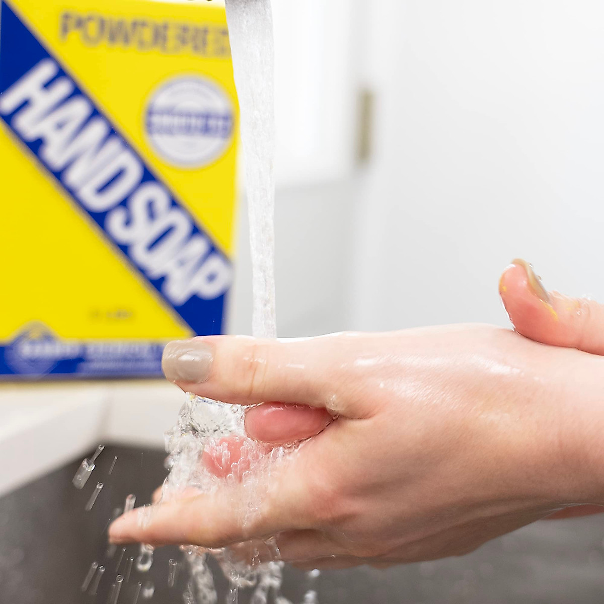 Banner Chemical Borax Powdered Hand Soap, Heavy Duty Industrial Hand Wash Removes Grease, Grime and Oil from Hands for Auto Mechanics and Industrial Workers, Compare to Boraxo (5 Pounds)