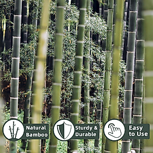 50Pcs Bamboo Plant Stakes for Indoor Outdoor Plants, 0.32''-0.4''/18 Inch Bamboo Sticks Garden Support Stakes Bamboo Poles Trellis for Tomato Vegetables Beans Trees Potted Climbing Plants