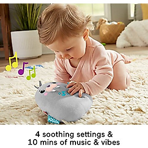 Fisher Price Infant Sound Machine Chill Vibes Walrus Soother Plush Baby Toy with Music Vibrations & Customizable Settings