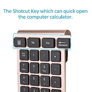 Yoidesu 22 Keys Number Pads, Numeric Keypad Portable 2.4 GHz Number Keyboard Financial Accounting Number Keyboard for Laptop, PC, Desktop, pro, Notebook, etc.(Rose Gold)