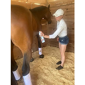 Banixx Premium Liniment