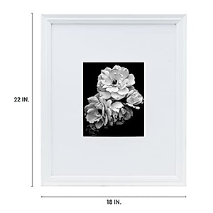 Studio Nova Picture Frame Displays 8 x 10 Photos 16 x 20 Without Mat, White