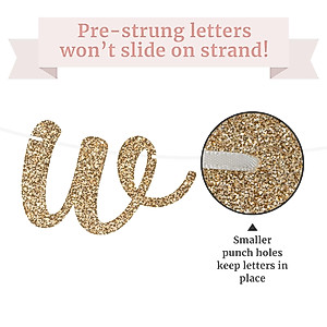 Pre-Strung We Will Miss You Banner - NO DIY - Gold Glitter Going Away, Retirement Banner in Script - Pre-Strung on 8 ft Strand - Farewell Graduation Party Decorations for Men & Women. Did we mention