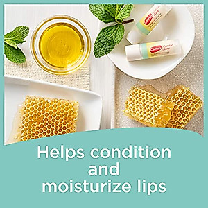 Carmex Comfort Care Lip Balm Stick with Beeswax, Peppermint Lip Balm - 0.15 OZ Each, 2 Count (Pack of 3)