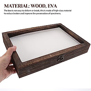Cabilock Insect Display Case Wooden Bug Collection Box with Clear EVA Top Insect Shadow Box Insect Specimen Storage Box for Home