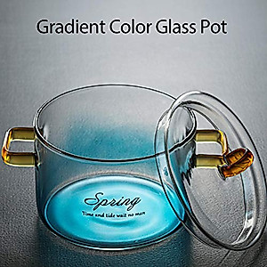 Glass Saucepan with Cover, 900ml Heat-Resistant Glass Stovetop Pot and Pan with Lid, The Best Handmade Glass Cookware Set Cooktop Safe for Pasta Noodle, Soup, Milk, Baby Food