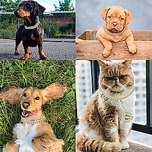 Cuban Link Dog Collar Diamond Gold Chain Dog Collar Walking Metal Gold Chain for Dogs with Design Secure Buckle,Pet Cuban Collar Jewelry Accessories for Small, Medium, Large Dogs and Cats