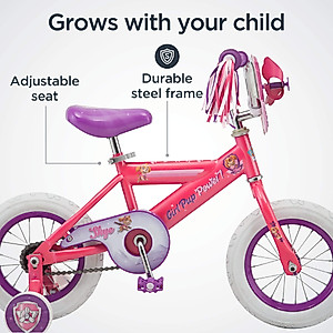 Nickelodeon Paw Patrol Kids Bike, For Boys and Girls Ages 2 to 4 Year Old or 28 to 38 Inch Tall, Paw Patrol Skye on a Pink Steel Frame and Chain Guard, Includes Training Wheels, 12-Inch Wheels