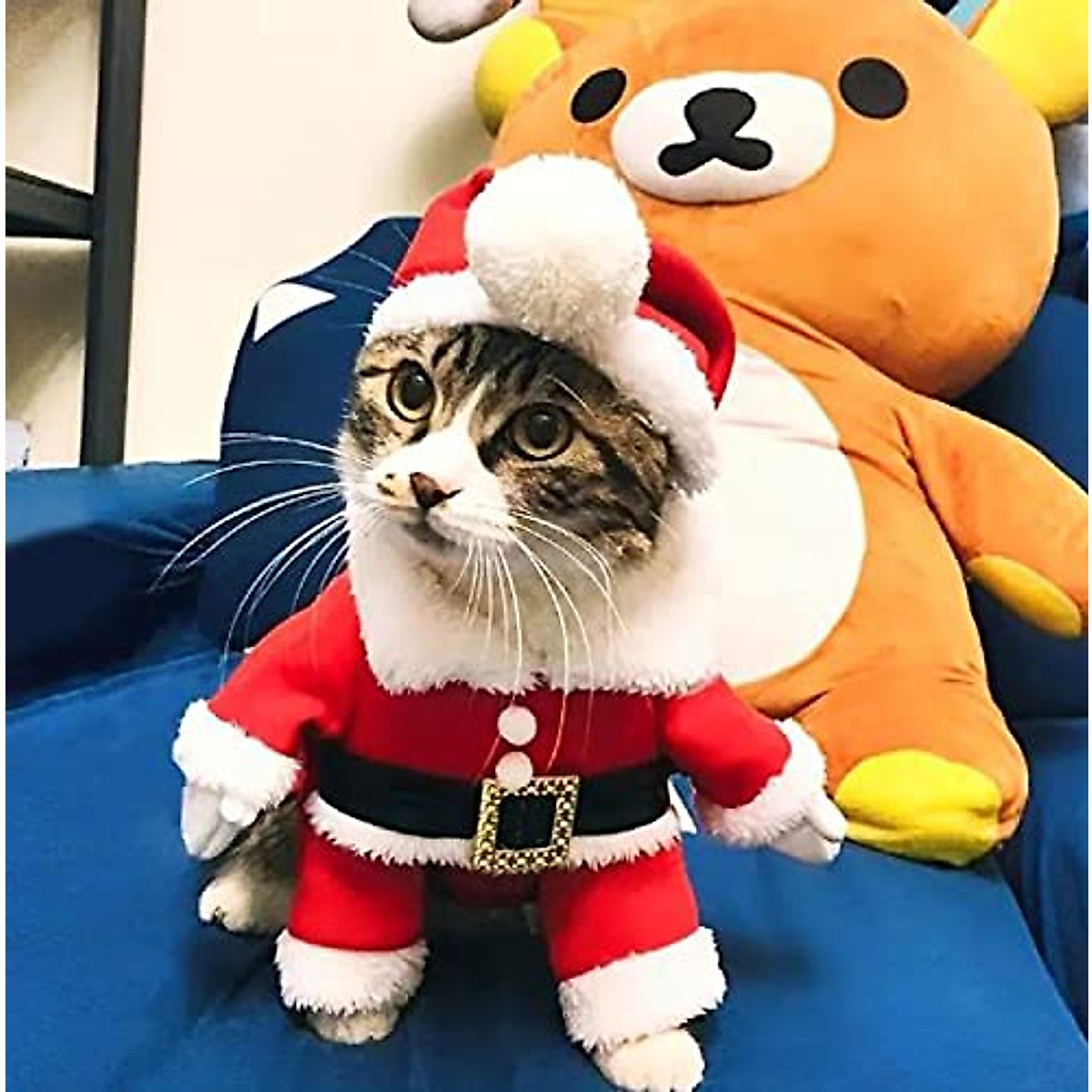 Christmas Cat Funny Clothes! Pet Santa Outfit with Hat! Dogs & Cats Santa Claus Suit Winter Coat! Christmas Costume Set for Small, Medium and Large Pet! Choose Your Size! (Small)