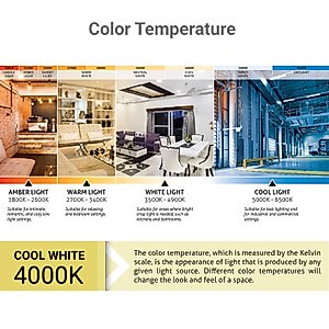 Sunlite 82109 LED A23 Light Bulb, 26 Watts (300w Equivalent), High Output, 4000 Lumens, Medium E26 Base, 120-227 Multi-Volt, Non-Dimmable, UL Listed, 4000K Cool White