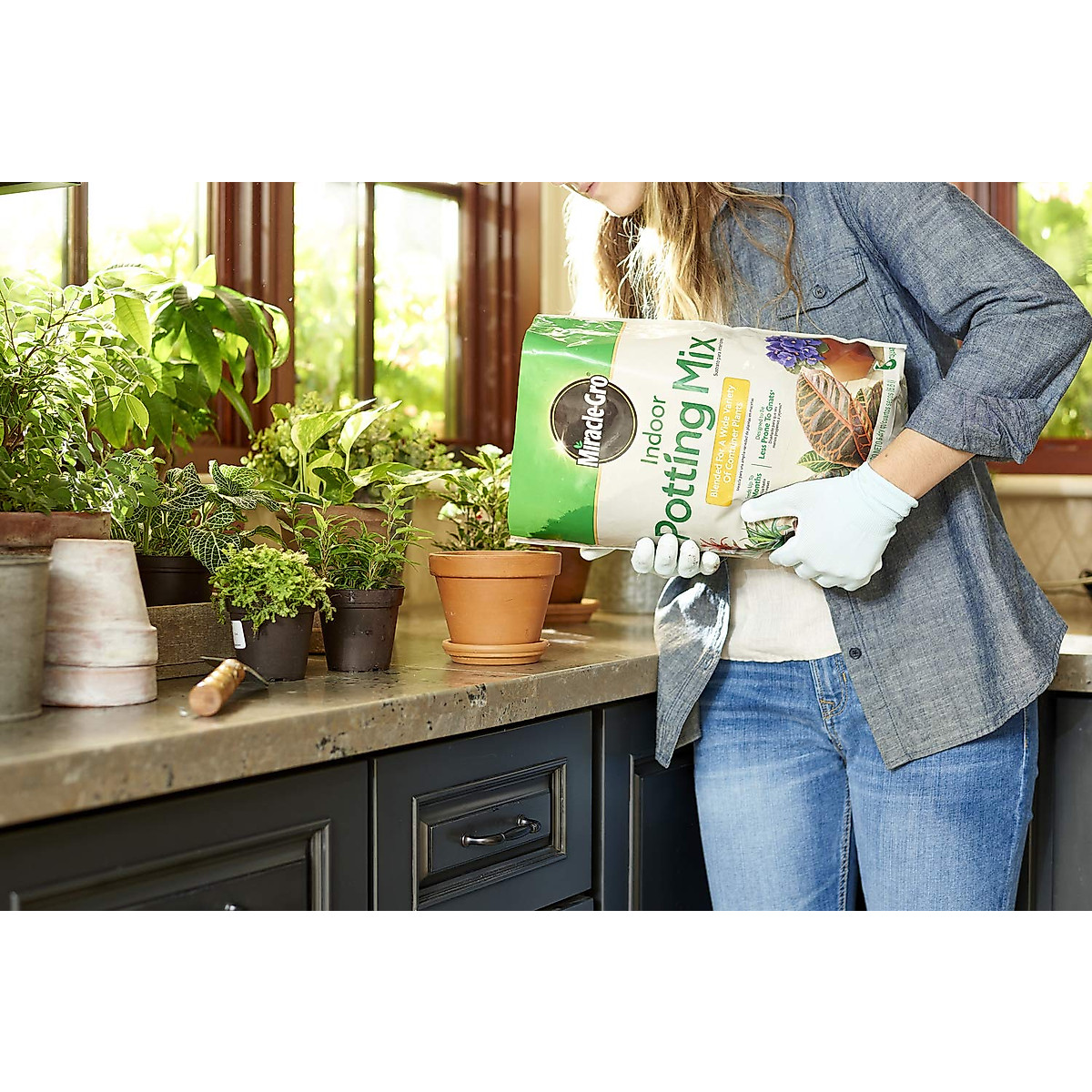 Miracle-Gro Indoor Potting Mix 6 qt., Grows beautiful Houseplants