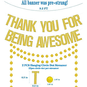 Pre-Strung Thank You for Being Awesome Gold Glitter Banner,NO NEED DIY Cute Banner Sign with 2PCS Hanging Circle Dot Streamer for Graduation Retirement Going Away Office Work Job Change Goodbye Party