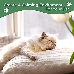 Daintry Cat Calming Diffuser with Feline Pheromones, Sunflower Scent, Stress & Anxiety Relief for Cats, 30-Day 2 x 48 ml Refills, Easy Plug-in Solution for Calming. Diffuser not Include
