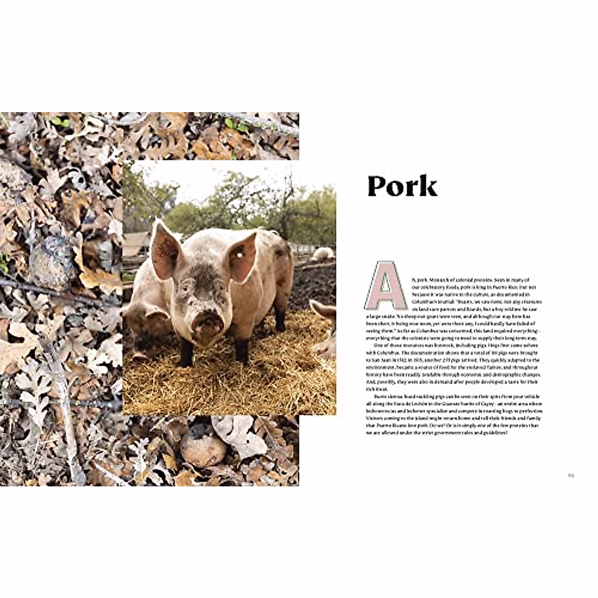 Diasporican: A Puerto Rican Cookbook