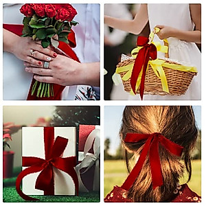 Red Velvet Ribbon, Chiffon Silk Ribbon Fringe Velvet Ribbon Christmas Velvet Ribbon Frayed Edges Ribbon Red Ribbons for Gift Wrapping Wedding Invitations Bridal Bouquets DIY Crafts (2.5in x 3 Yards)