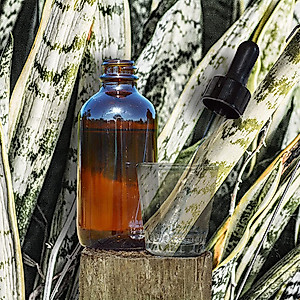 (Pack of 12) 4 oz. Amber Boston Round with Black Glass Dropper