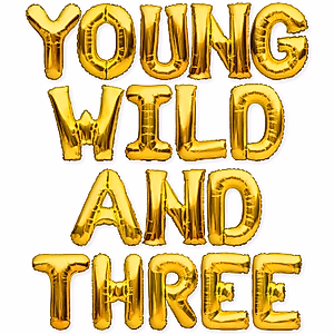 PartyForever Young Wild And Three Balloons Banner Gold Themed 3rd Birthday Party Decorations Sign