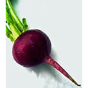 Beets, Early Wonder, Heirloom, Non GMO, 500 Seeds, Tender N Sweet Beet, Perfect