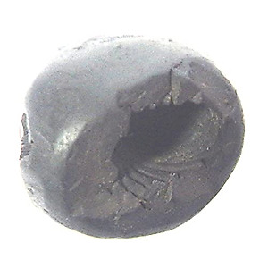phoenix888 Kurma Laxmi Navnidhi Purnachakra Purnagarbha Shaligram